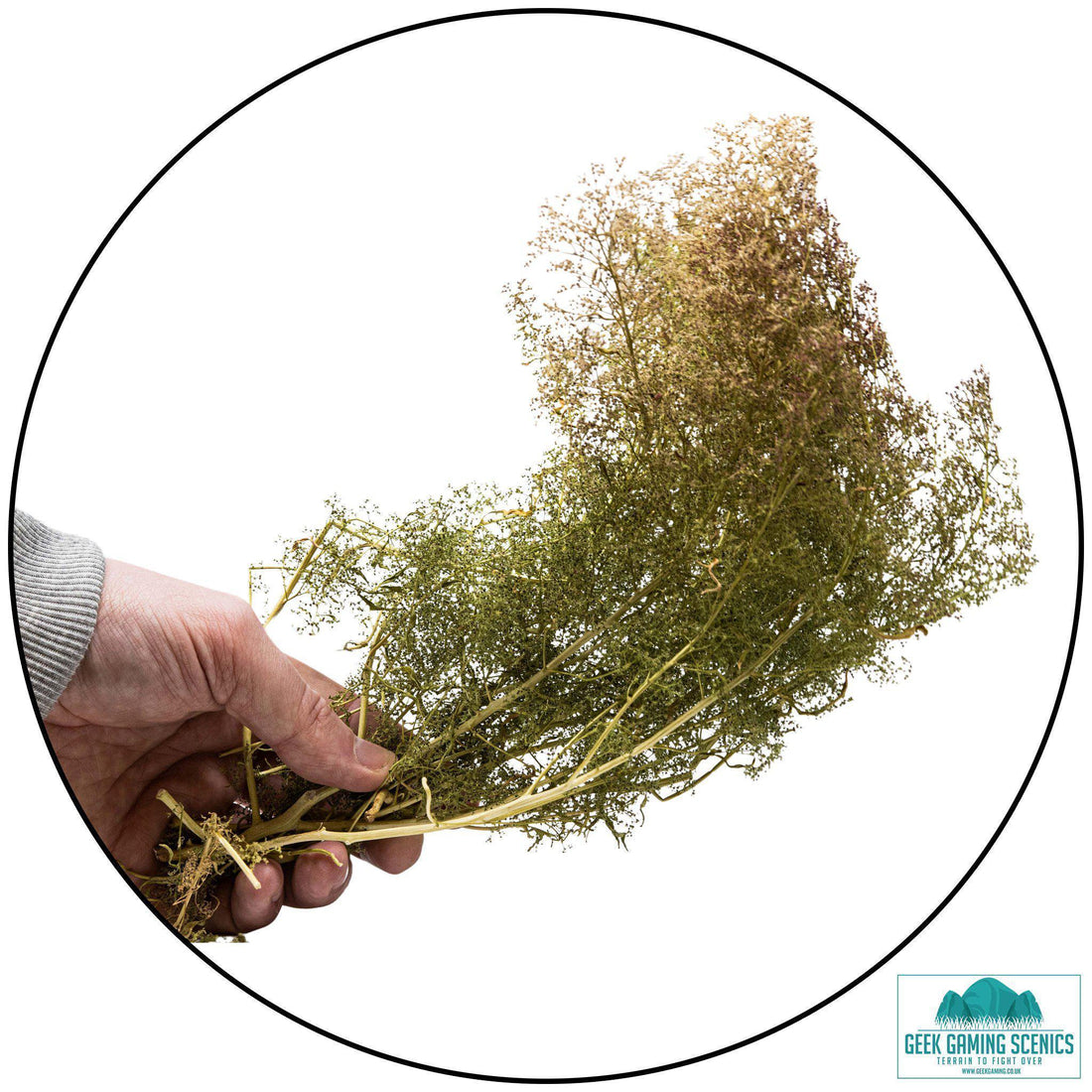 Terrain Ready Trees - Sea Foam Trees (Teloxys Aristata) – Geek Gaming ...